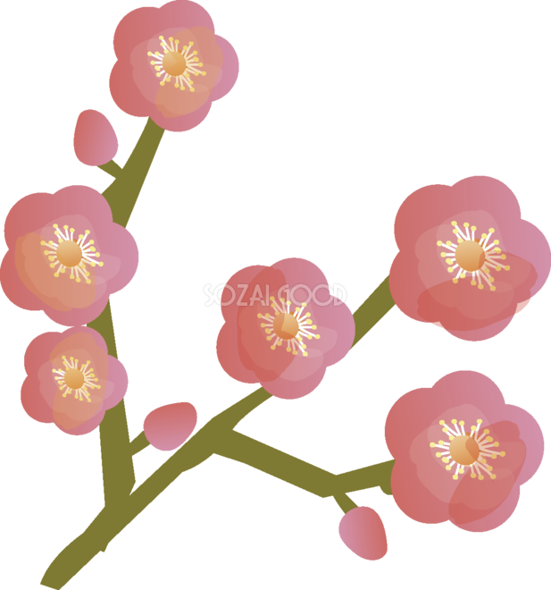 梅の花無料イラスト 冬~春1~4月63697 素材good 
